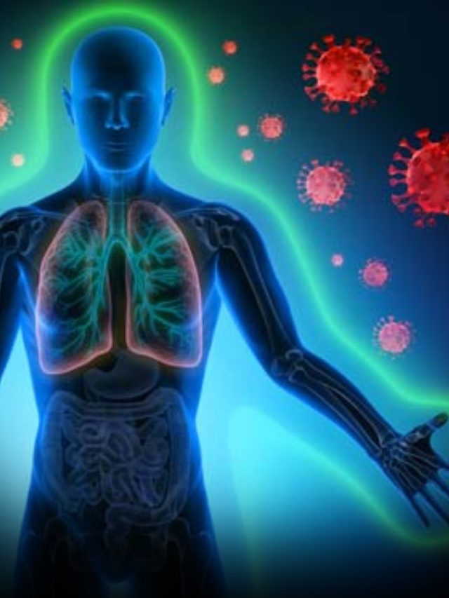 Top 7 Herbs To Boost Immunity Naturally - News24