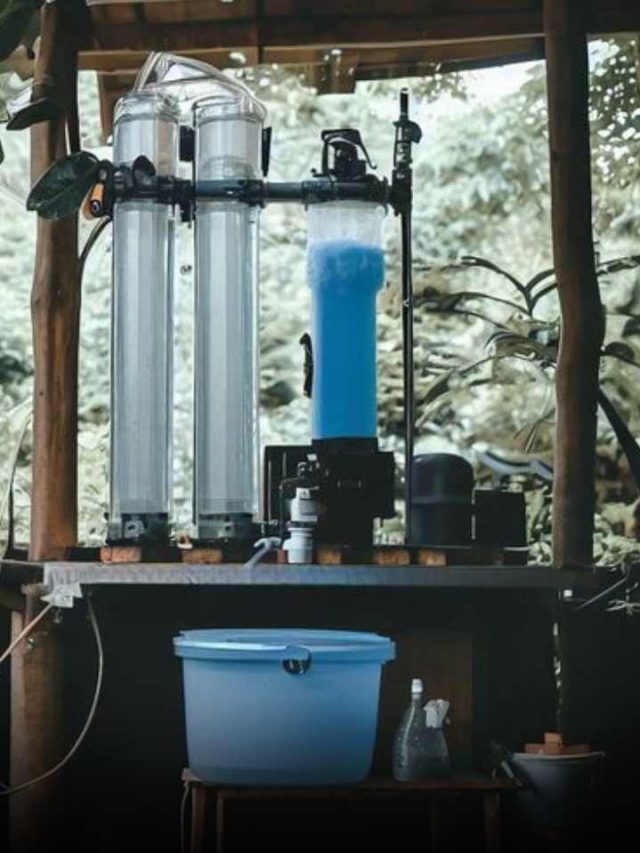 Portable Water Purification Systems: Ensuring Safe Drinking Water - News24