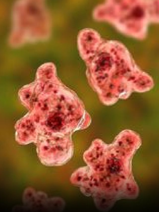 What is Brain Eating Amoeba? - News24