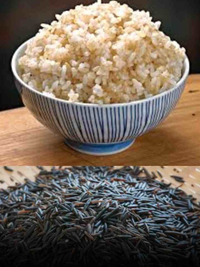 Exploring the Diversity of Rice: Varieties from Around the World - News24