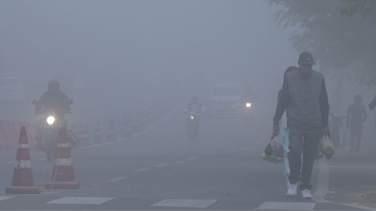 IMD Weather Alert: Heavy Rain To Lash Tamil Nadu, Snowfall In Himachal Pradesh; Cold Wave In ...