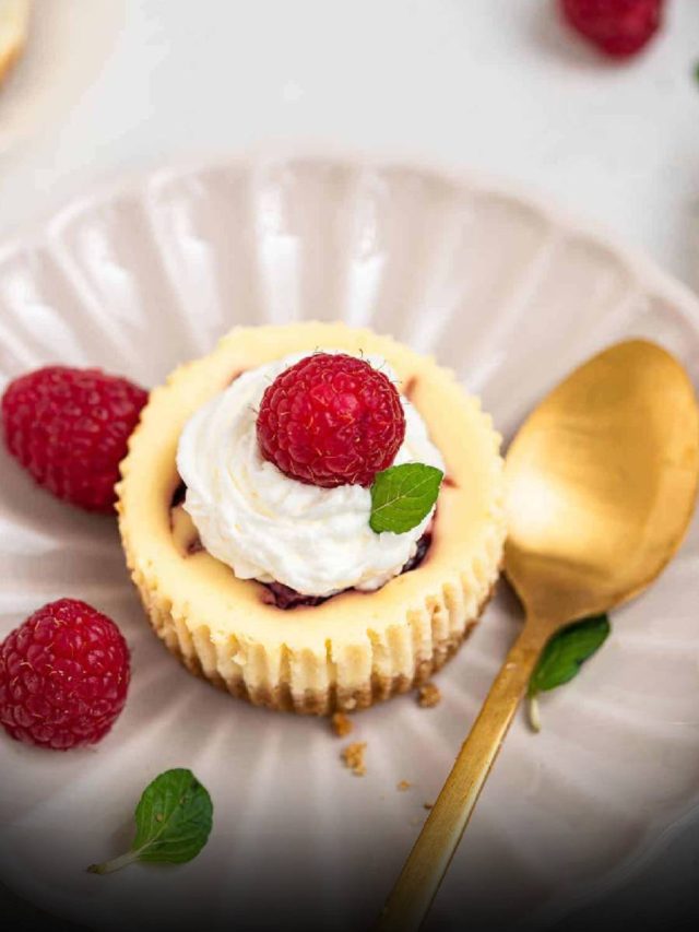 Mini Raspberry Cheesecake Recipe: A Must-Try for Christmas - News24