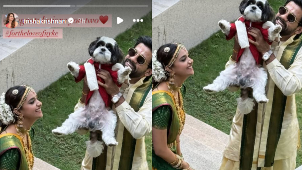 Vijay And Trisha Make First Public Appearance As A Couple?