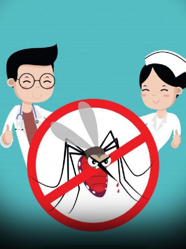 National Dengue Day: Awareness Can Save Lives - News24