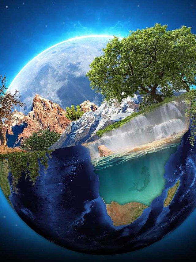 World Environment Day: Join The Planet Pledge Movement - News24