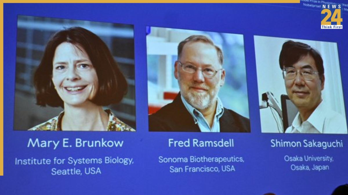 Nobel Prize 2025 - Three scientists share Physiology or Medicine award for breakthroughs in ...
